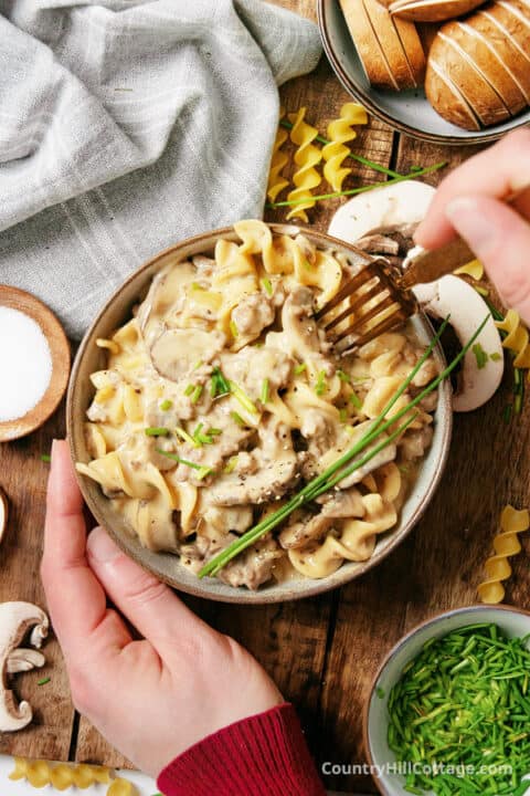 Velveeta Beef Stroganoff