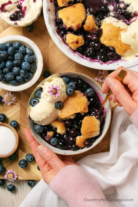 Bisquick Blueberry Cobbler