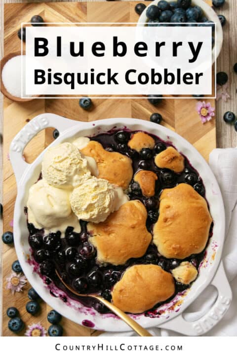 Bisquick Blueberry Cobbler
