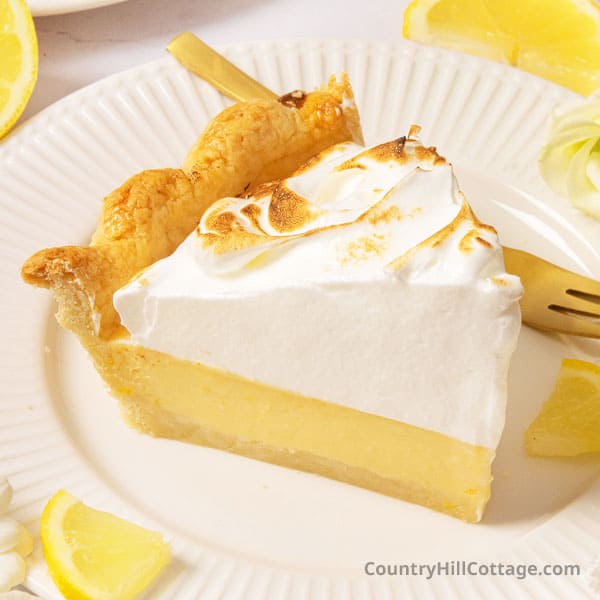 Carnation Condensed Milk Lemon Meringue Pie Recipe Infoupdate Carnation Condensed Milk Lemon Meringue Pie Recipe Infoupdate