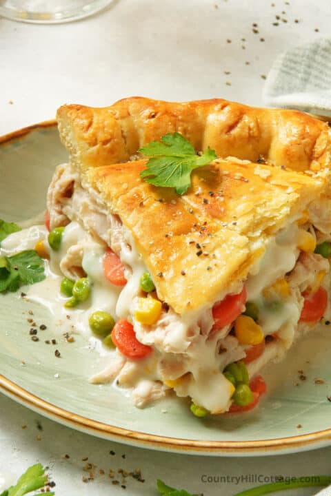 Fascinating Pot Pie With Cream Of Chicken Soup Photos
