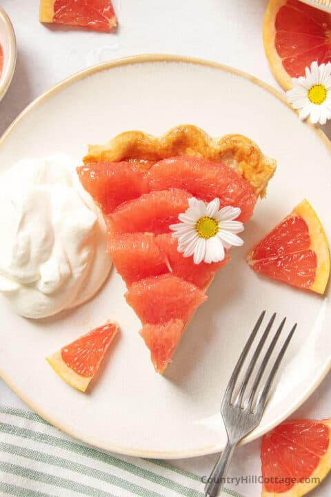 Grapefruit Pie