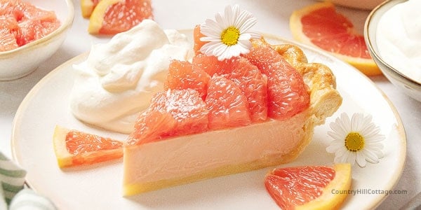 Grapefruit Pie
