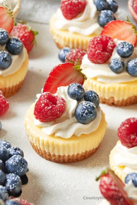 Philadelphia Mini Cheesecakes