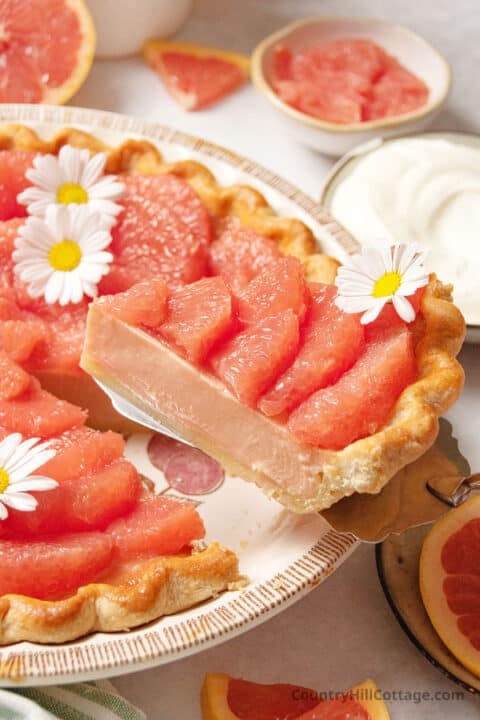 Grapefruit Pie