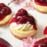 Philadelphia Mini Cheesecakes