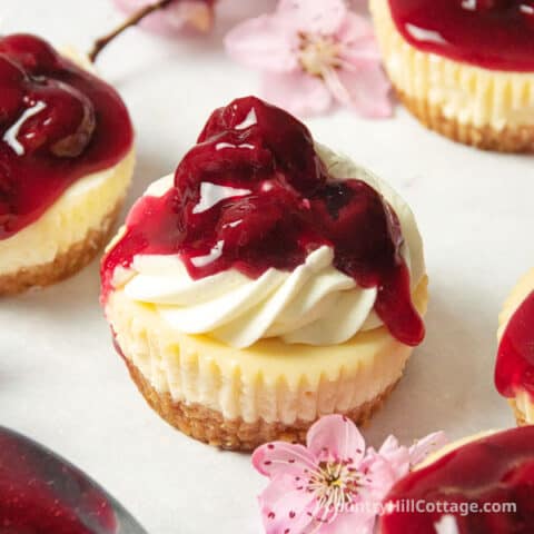 Philadelphia No Bake Mini Cheesecakes