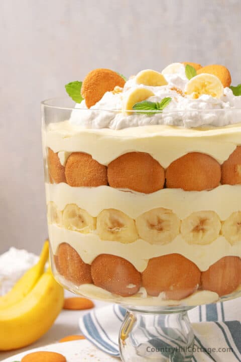 Condensed Milk Banana Pudding