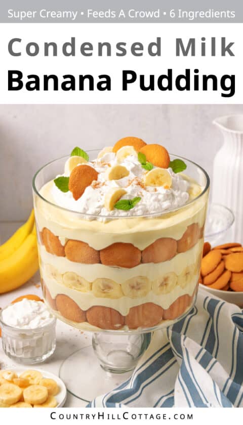 Condensed Milk Banana Pudding