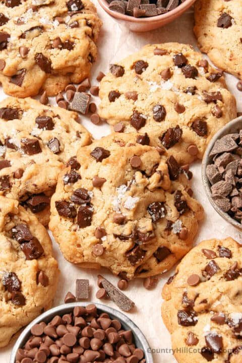 Best Panera Chocolate Chip Cookies Recipe