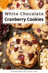 Dried Cranberry Cookies