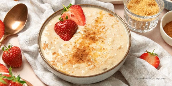 Carnation Milk Rice Pudding Recipe | Besto Blog