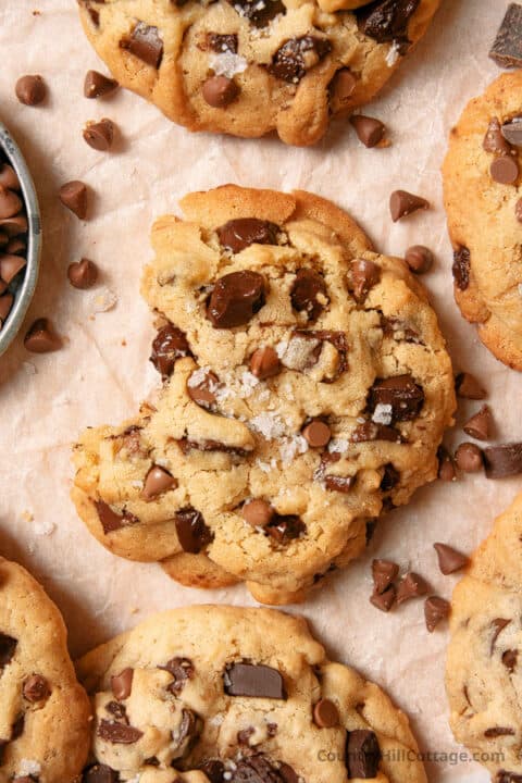 Best Panera Chocolate Chip Cookies Recipe