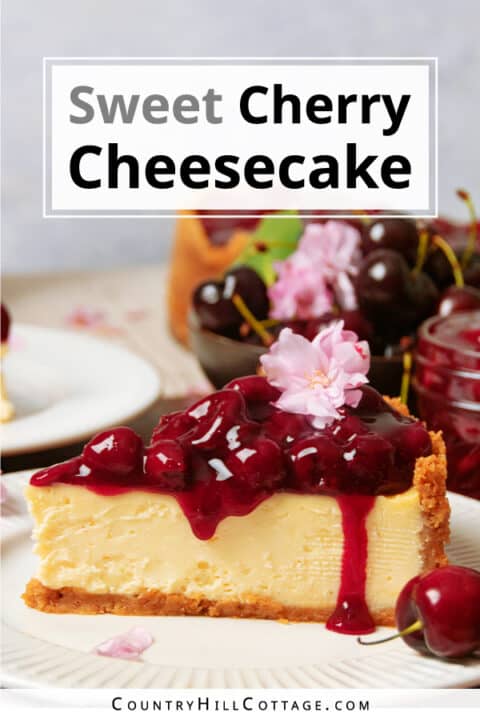 Philadelphia Cherry Cheesecake Recipe