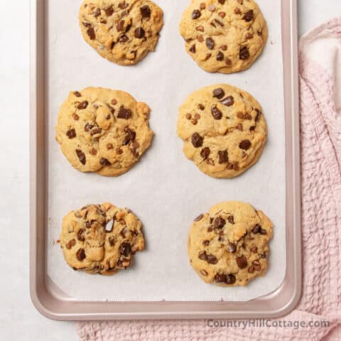 Best Panera Chocolate Chip Cookies Recipe