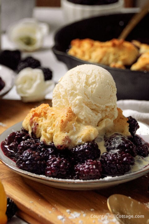 BEST Bisquick Cobbler Recipe