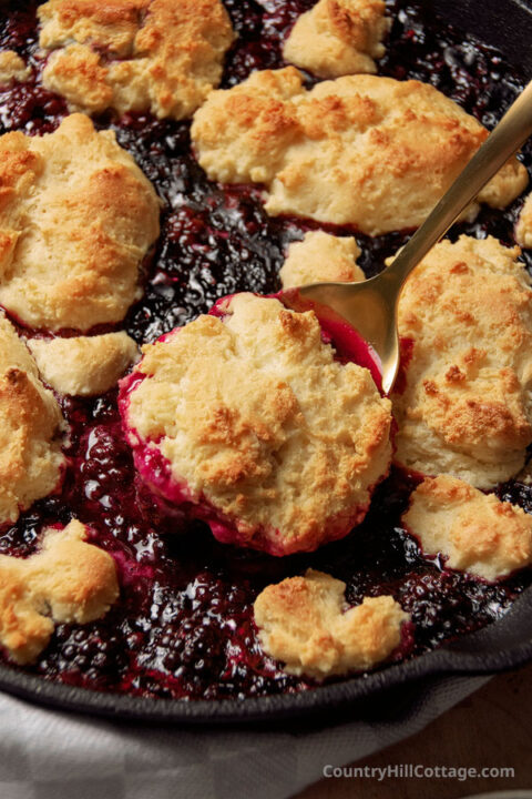 BEST Bisquick Cobbler Recipe