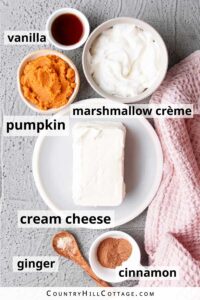 Philadelphia Cream Cheese Pumpkin Dip {5 Min Recipe}