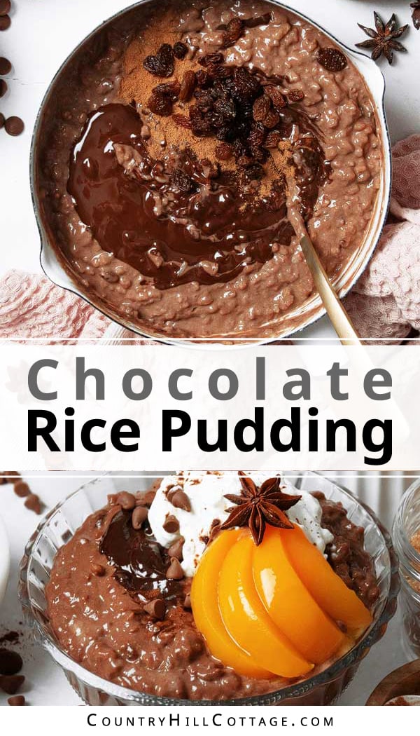 Chocolate Rice Pudding Easy 1 Pot Recipe