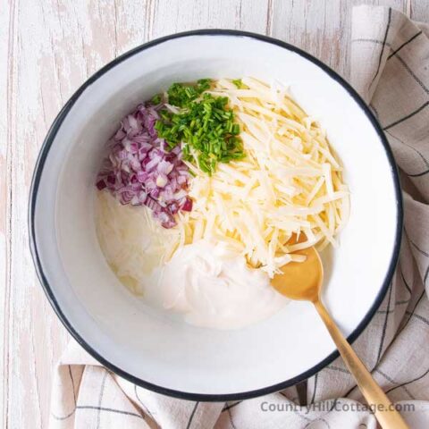 Jarlsberg Cheese Dip {Easy 10 Min Recipe}