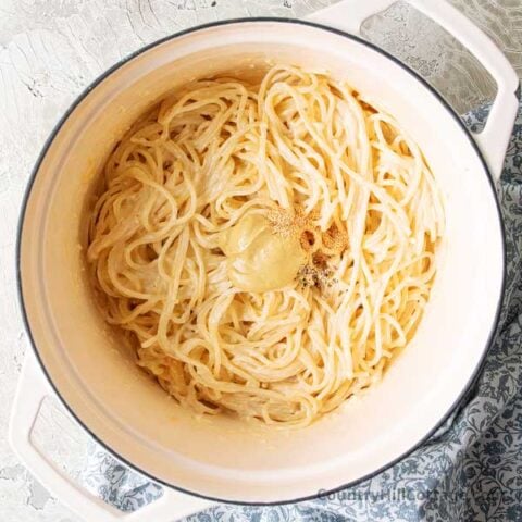 Spaghetti Mac and Cheese {Easy 1 Pot Recipe}