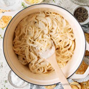 Spaghetti Mac and Cheese {Easy 1 Pot Recipe}
