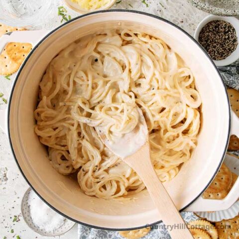 Spaghetti Mac and Cheese {Easy 1 Pot Recipe}