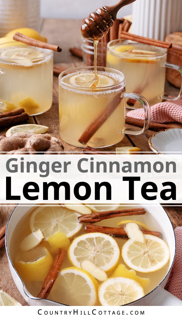 Lemon Ginger Cinnamon Tea