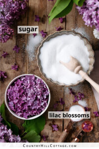 Lilac Sugar