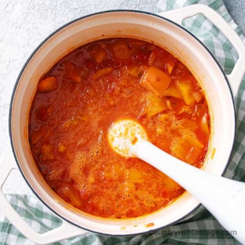 Zucchini Stew