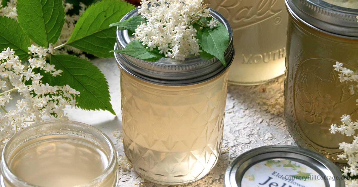 Elderflower Jelly