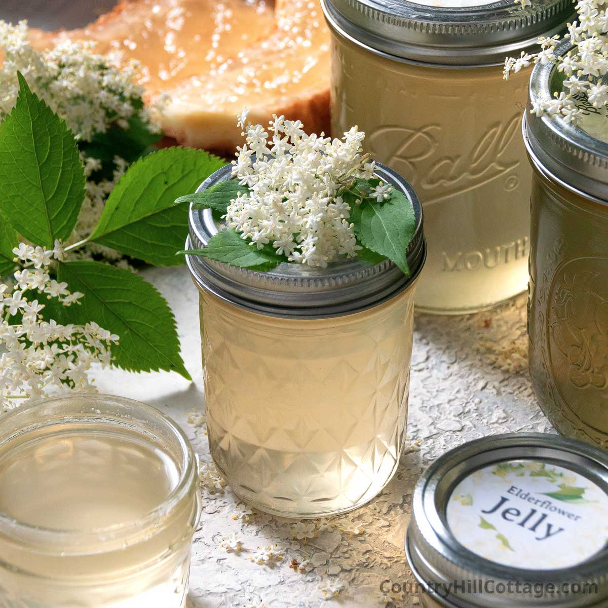 Elderflower Jelly