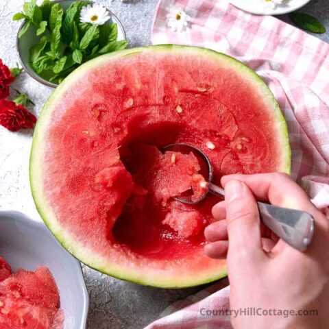 Watermelon Cooler